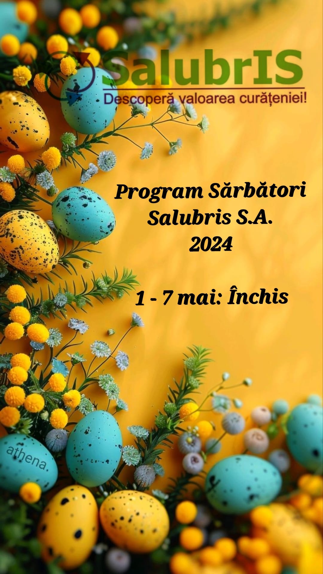 SalubrIS : Noutăți